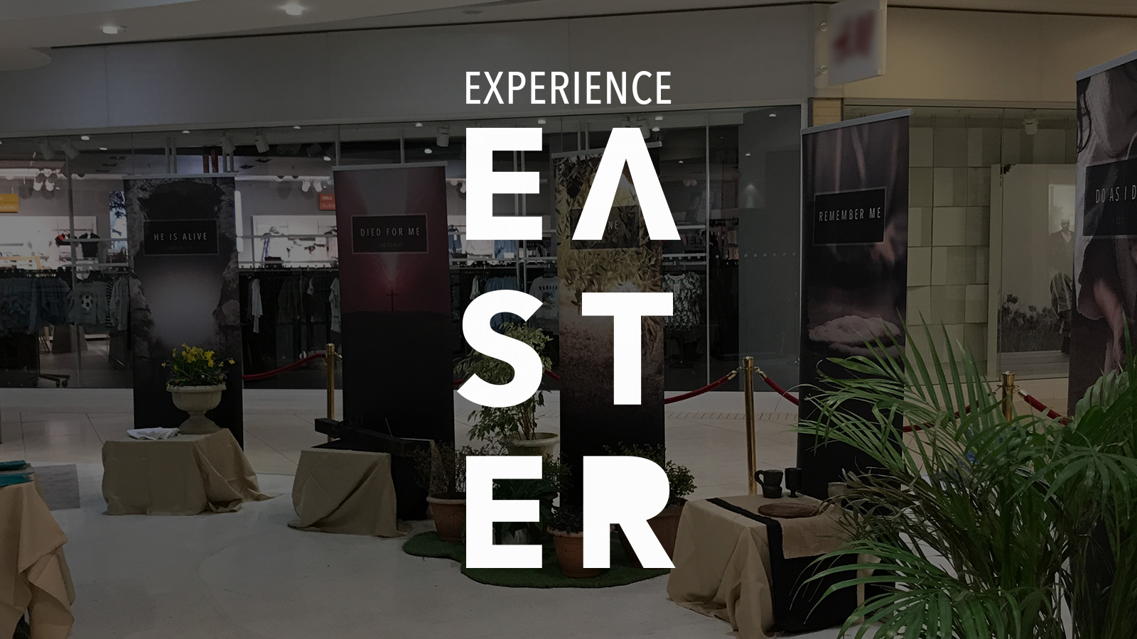 Experience Easter | We love great stories